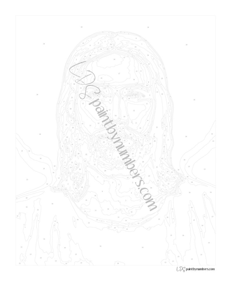 LDS Paint by Numbers Kit the Light of the World 16x20 Painting Kit of ...