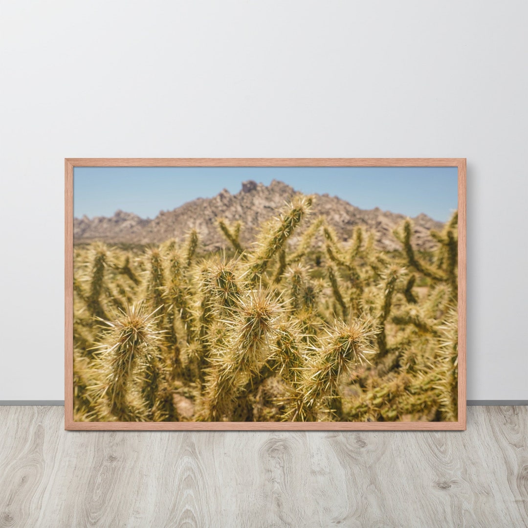 Prickly Cactus & Rocky Mountains Photo Print Southwestern Decor Cacti ...