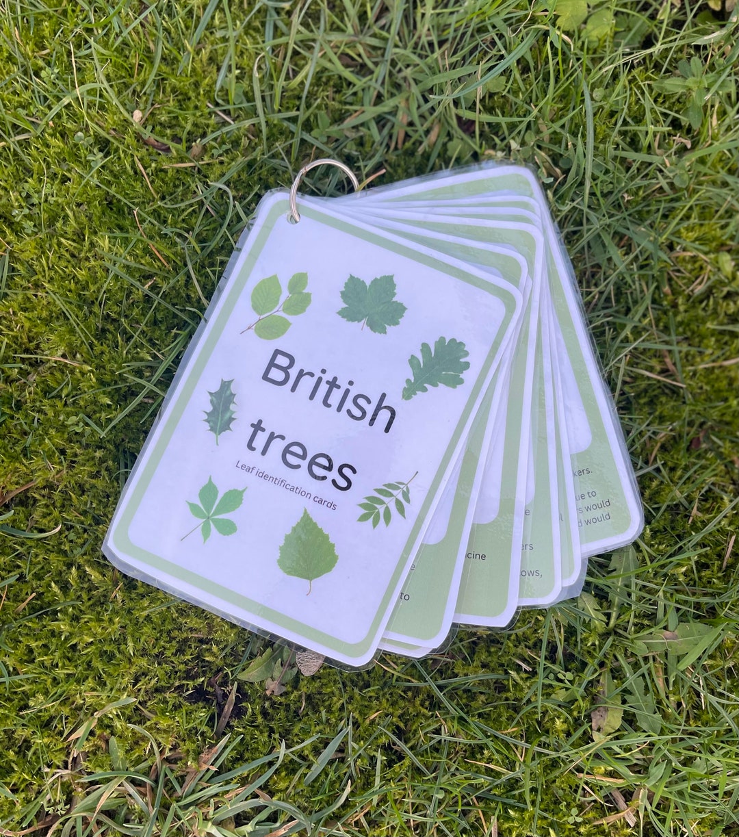 Downloadable British Tree Identification Cards - Etsy