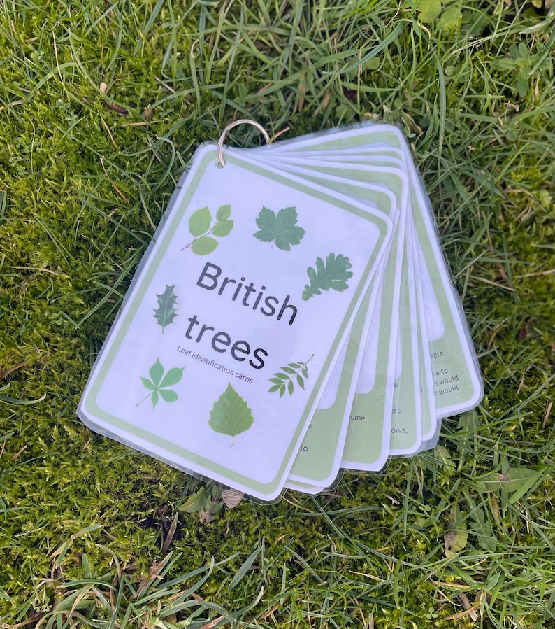 Downloadable British Tree Identification Cards - Etsy