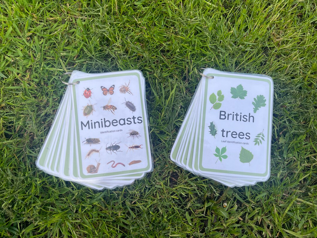 Downloadable Nature ID Bundle - Etsy