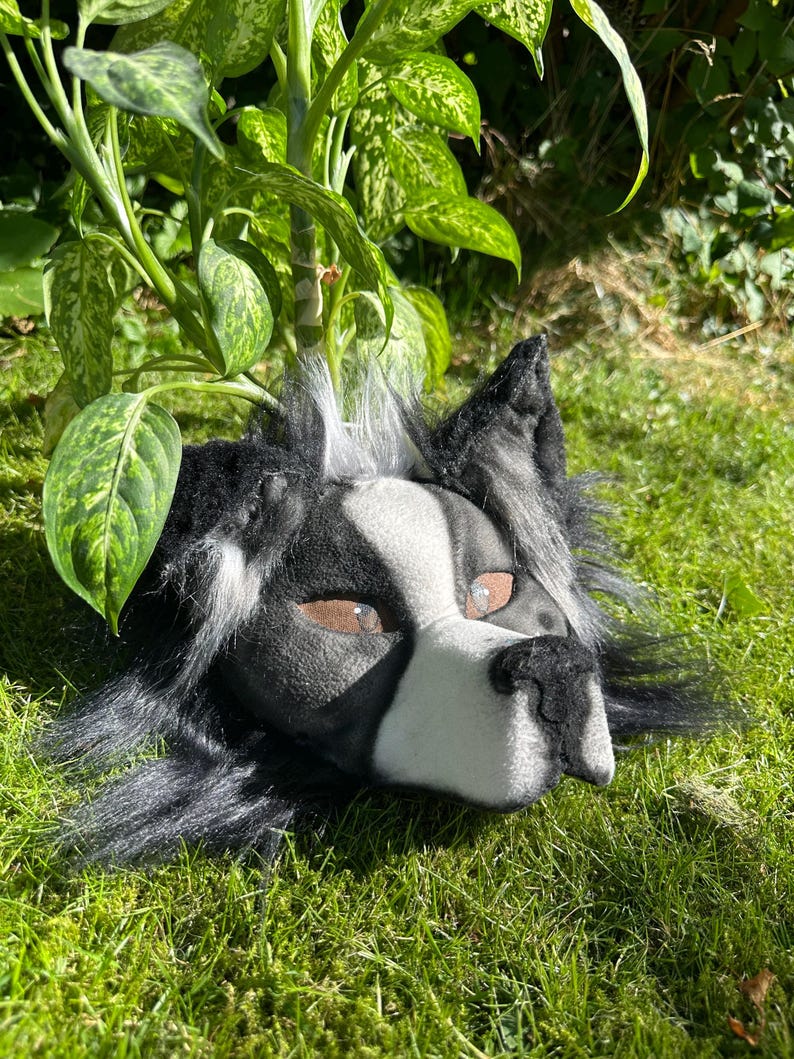 Border Collie Mask - Etsy Australia