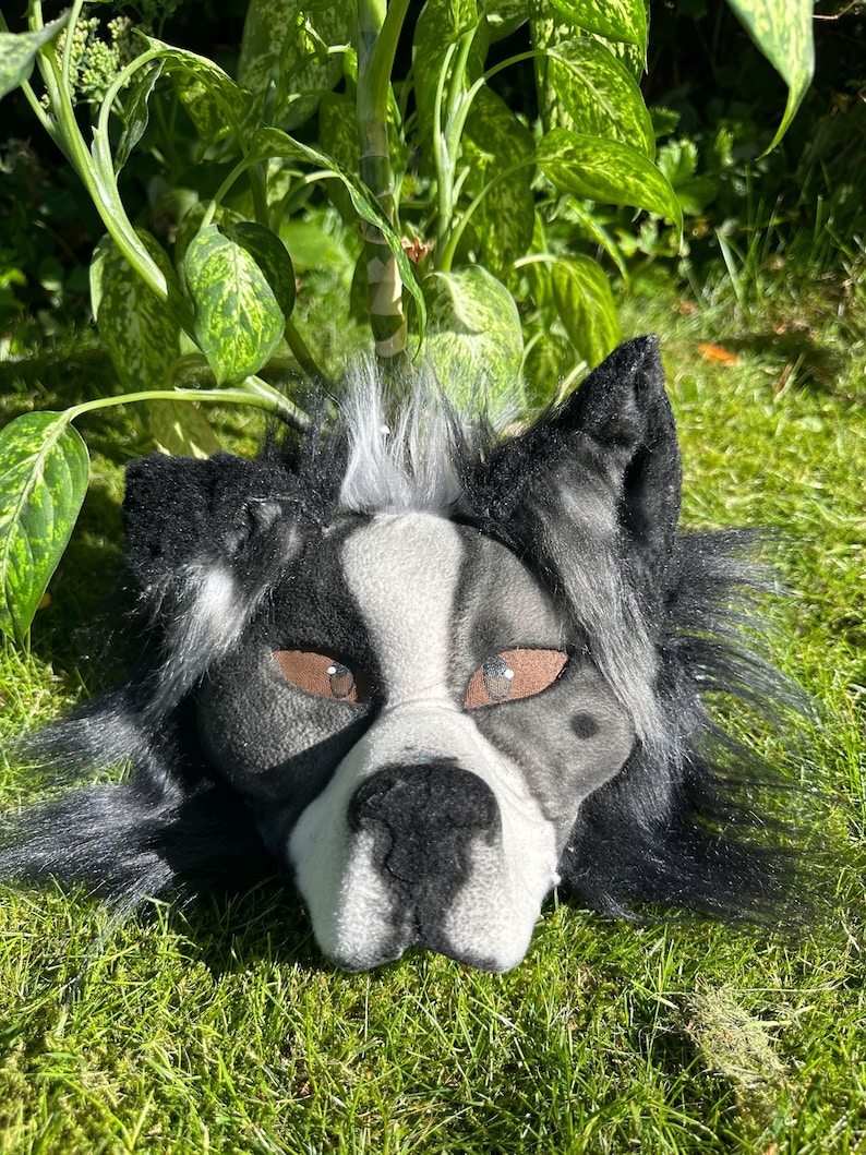 Border Collie Mask - Etsy Australia