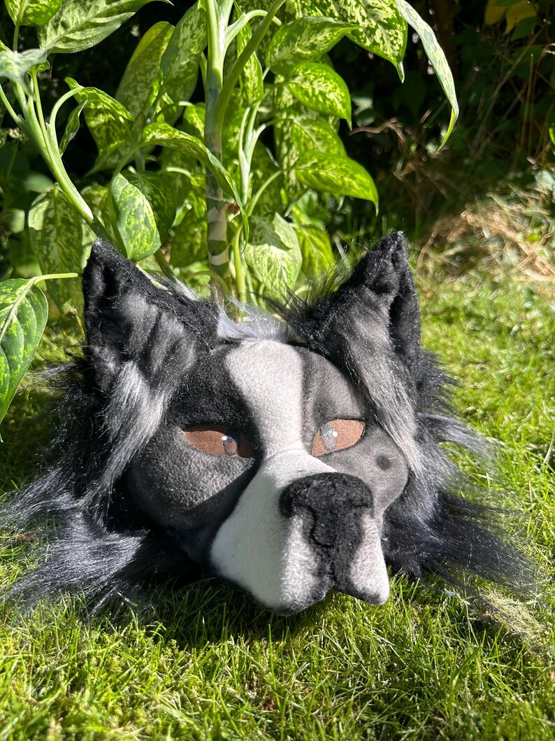 Border Collie Mask - Etsy Australia