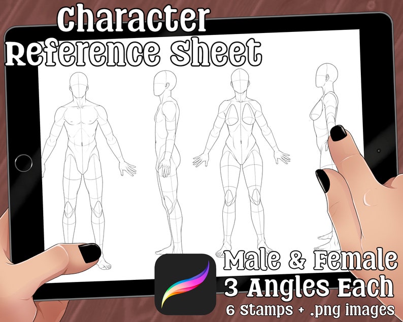 Character Reference Sheet Base Template Male And Female 6 Stamps Png Images Etsy