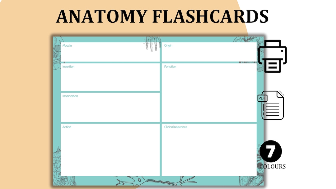 Anatomy Flashcard Template Anatomy Flashcards Anatomy - Etsy Australia
