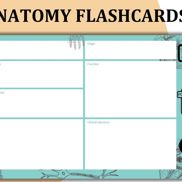 Anatomy Flashcards - Etsy