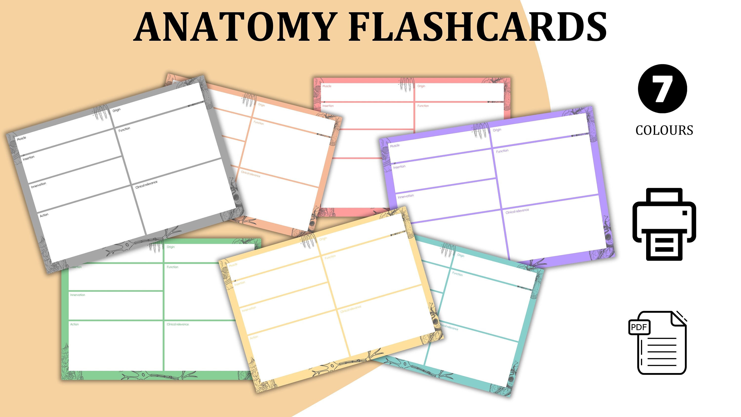 Anatomy Flashcard Template Anatomy Flashcards Anatomy - Etsy Australia