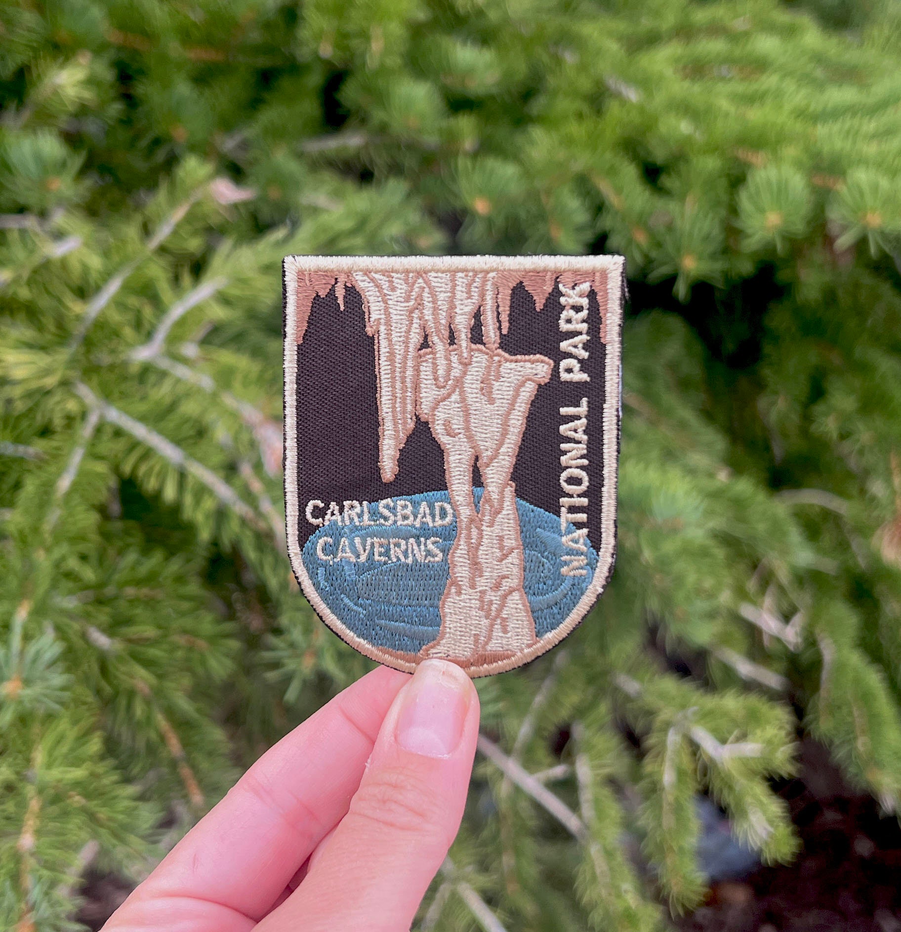 Carlsbad Caverns National Park Embroidered Iron on Patch, Carlsbad ...