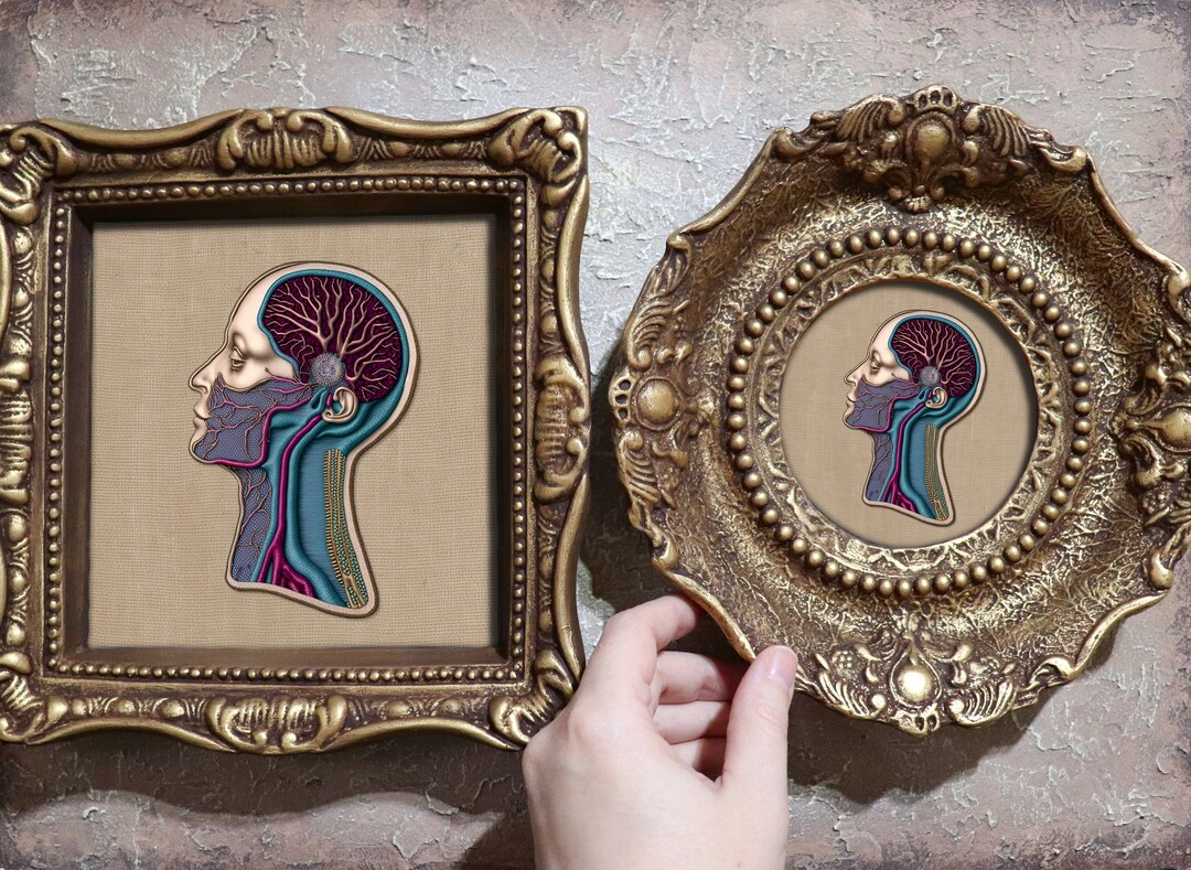 Brain Painting Anatomical Art Print Medical Decor Human Poster Vintage ...