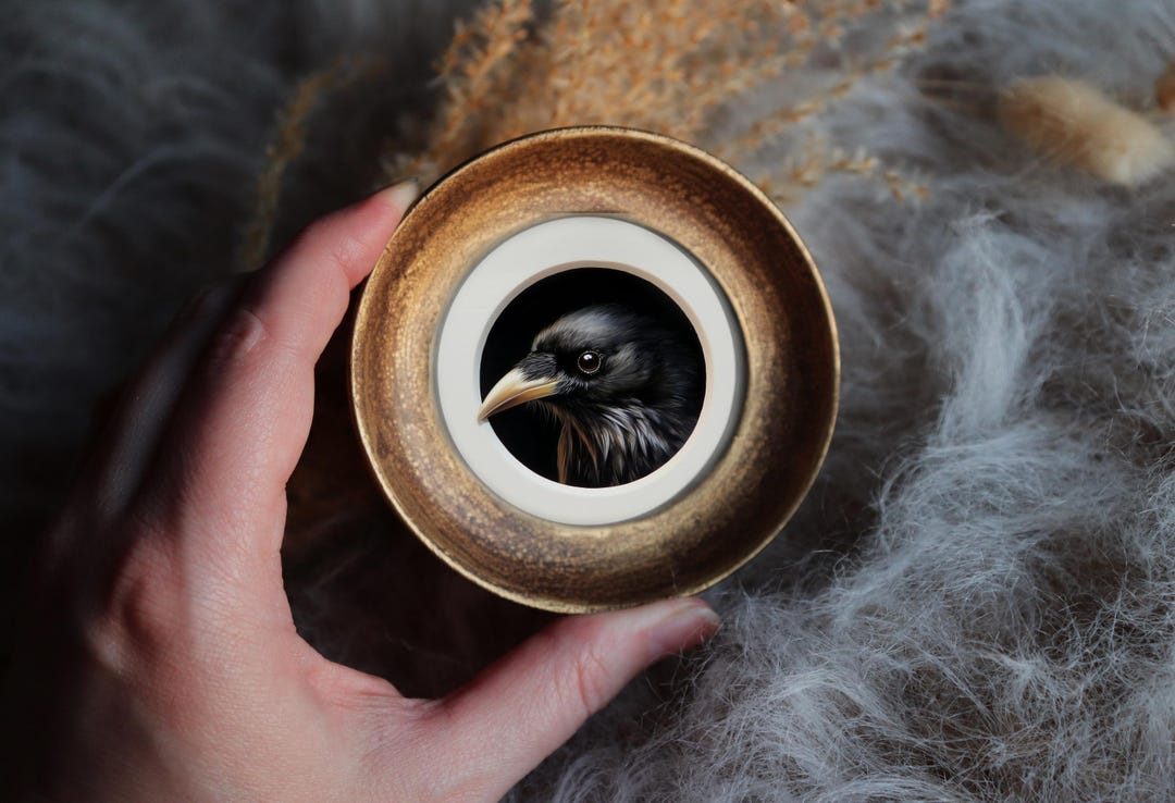 Raven Bird Portrait in Celestial Sun Frame Miniature Dark Animal ...