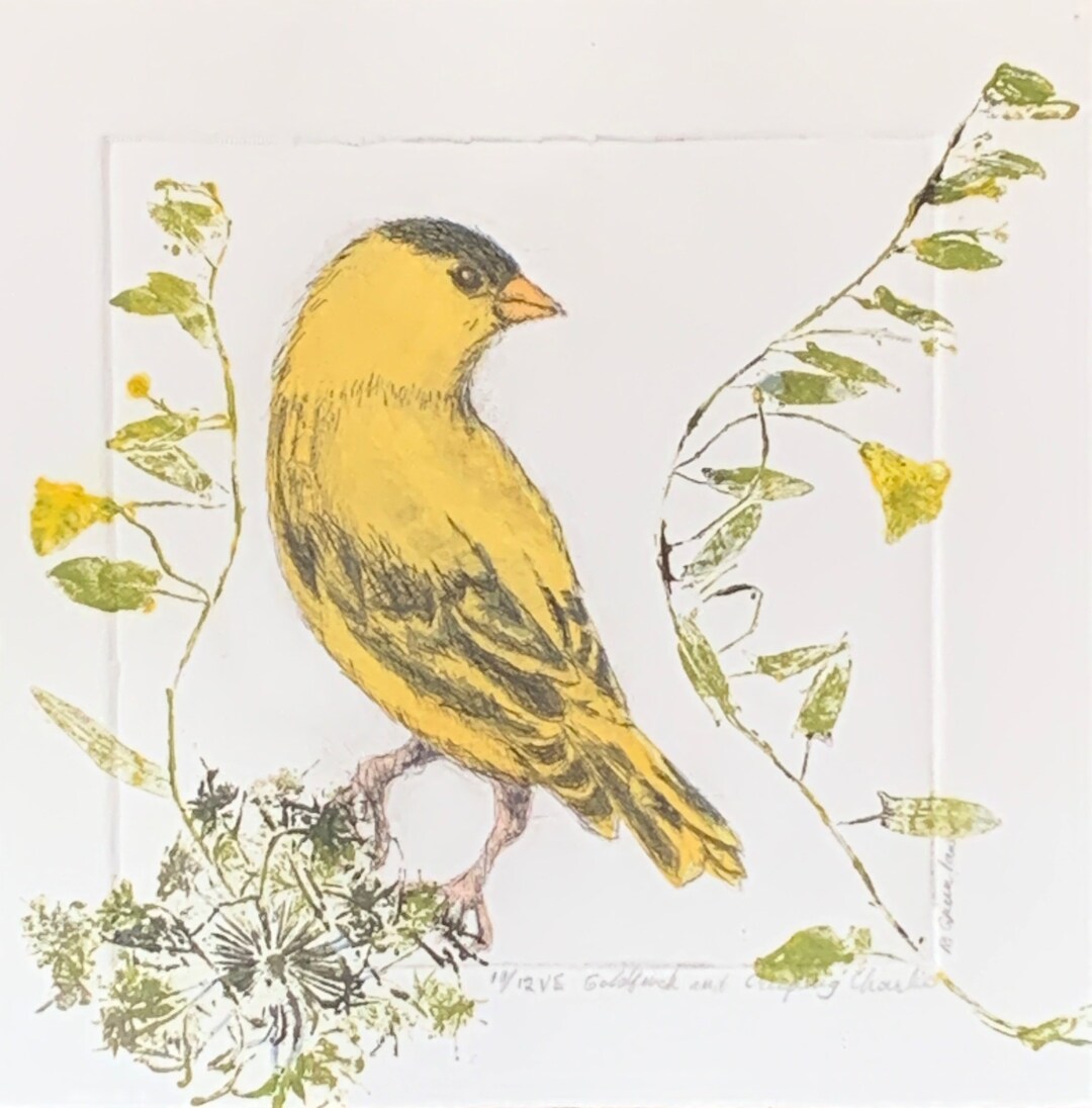 Goldfinch and Creeping Charlie - Etsy