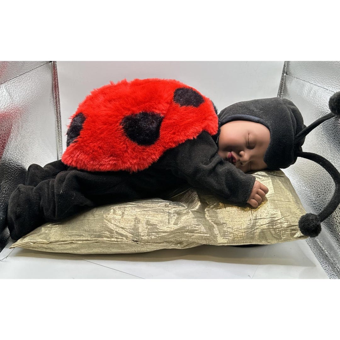 Anne Geddes 17” Lady Bug Sleeping African American Baby Doll Plush 1998 ...