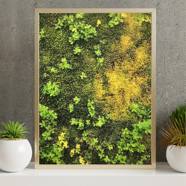 Moss Wall Garden - Etsy