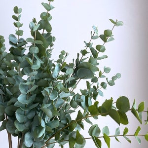 Real Touch Eucalyptus Stem - High Quality Artificial Greenery / Leaf ...