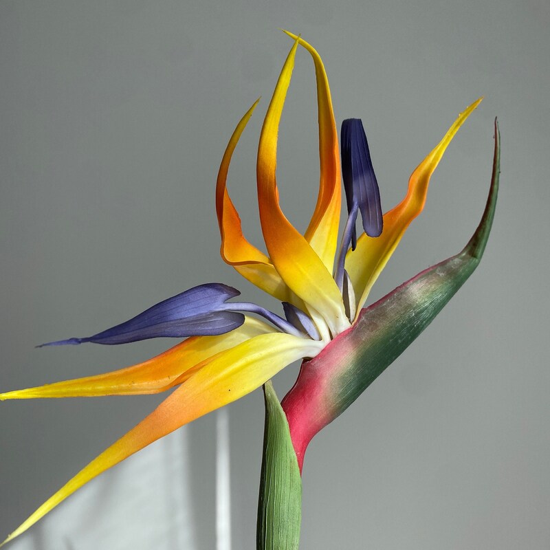 Artificial Birds - Etsy