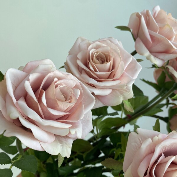 Dusty Pink Rose - Etsy