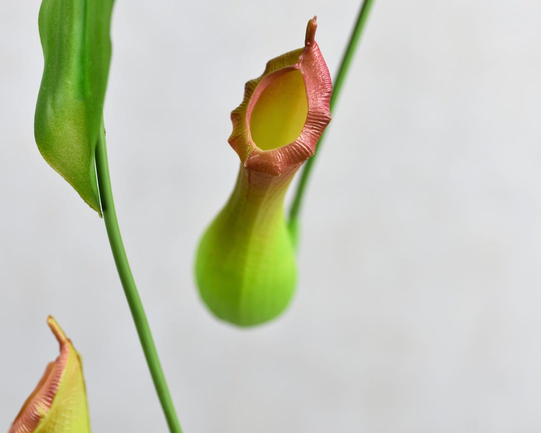 Artificial Green Nepenthes Pitcher Plant - Realistic Faux Plant for ...