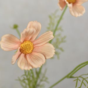 Real Touch Beige Tan Cosmos Wildflower Stem - High Quality Artificial ...