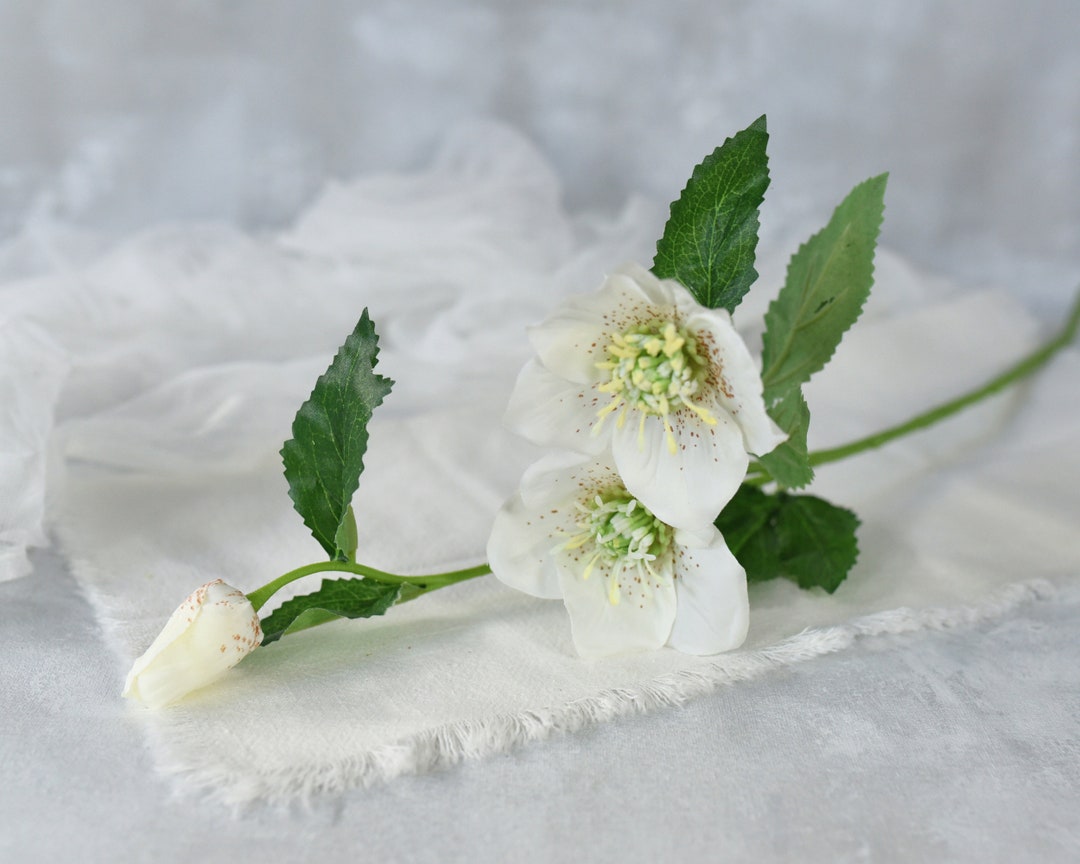 Faux White Helleborus Stem - High Quality Artificial Flower / DIY ...