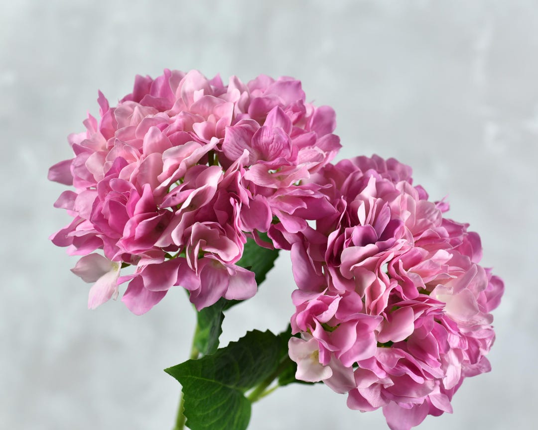 Real Touch Pink Hydrangea Stem - Realistic High Quality Artificial ...