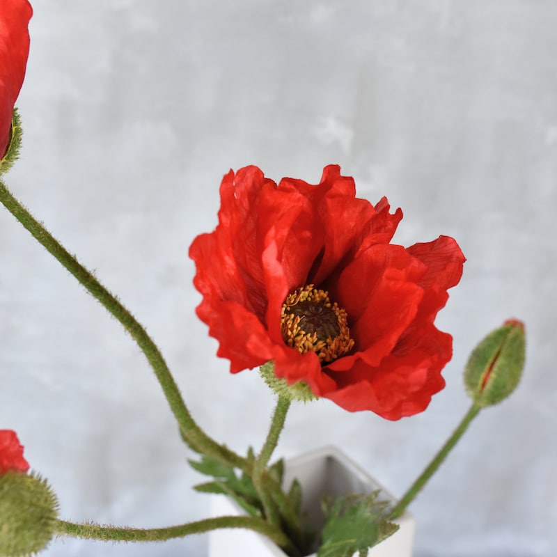Poppy Arrangement - Etsy
