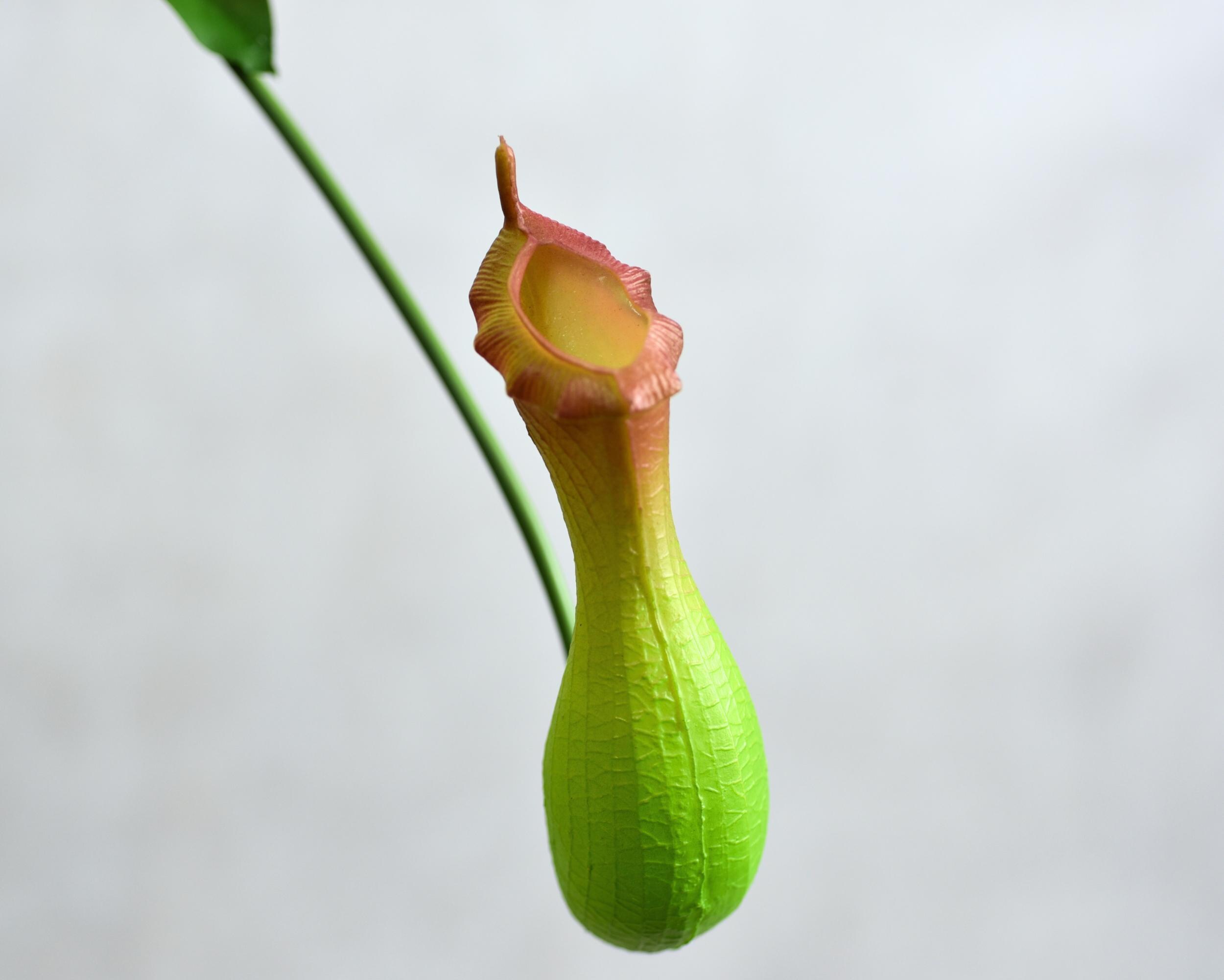 Artificial Green Nepenthes Pitcher Plant - Realistic Faux Plant for ...