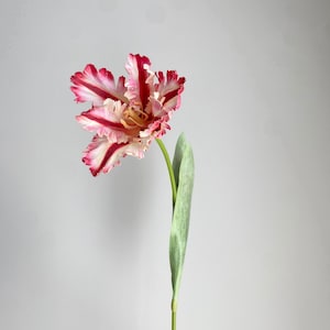 Real Touch Parrot Tulip Stem -high Quality Artificial Flower / Wedding ...