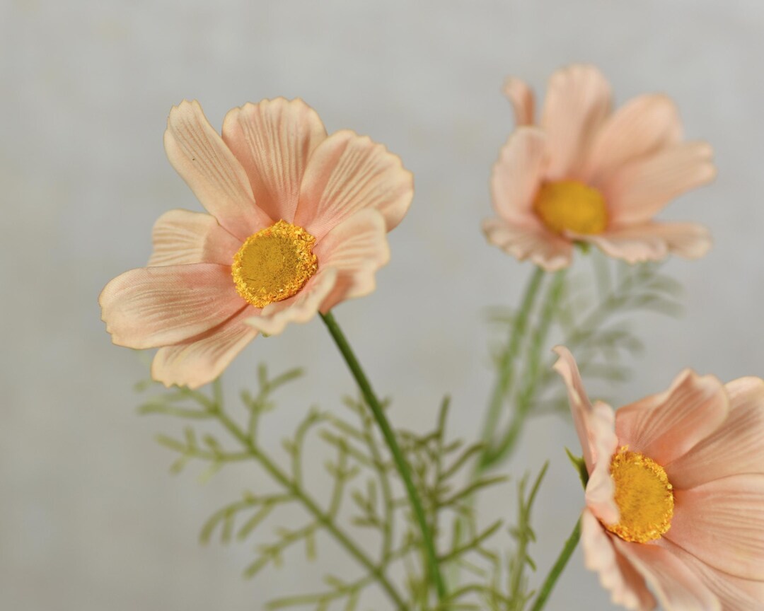 Real Touch Beige Tan Cosmos Wildflower Stem - High Quality Artificial ...