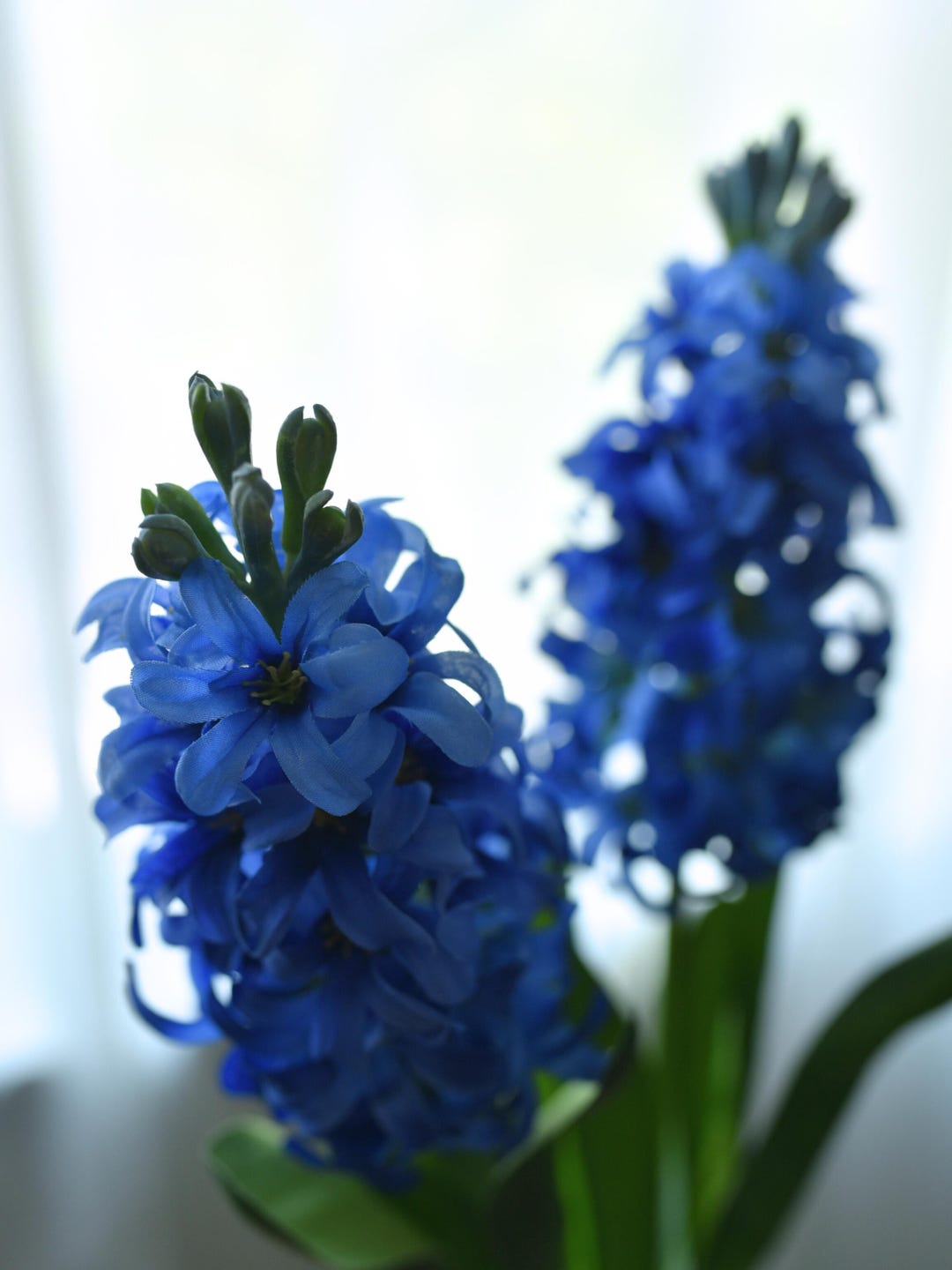 Artificial Blue Hyacinth Flower Stem - Wedding / Bouquet / Spring ...