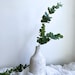 Real Touch Eucalyptus Stem - High Quality Artificial Greenery / Leaf ...