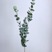 Real Touch Eucalyptus Stem - High Quality Artificial Greenery / Leaf ...