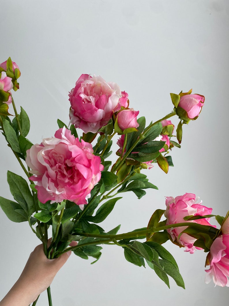 Stelo floreale di peonia finta - Fiore artificiale di alta qualità ...