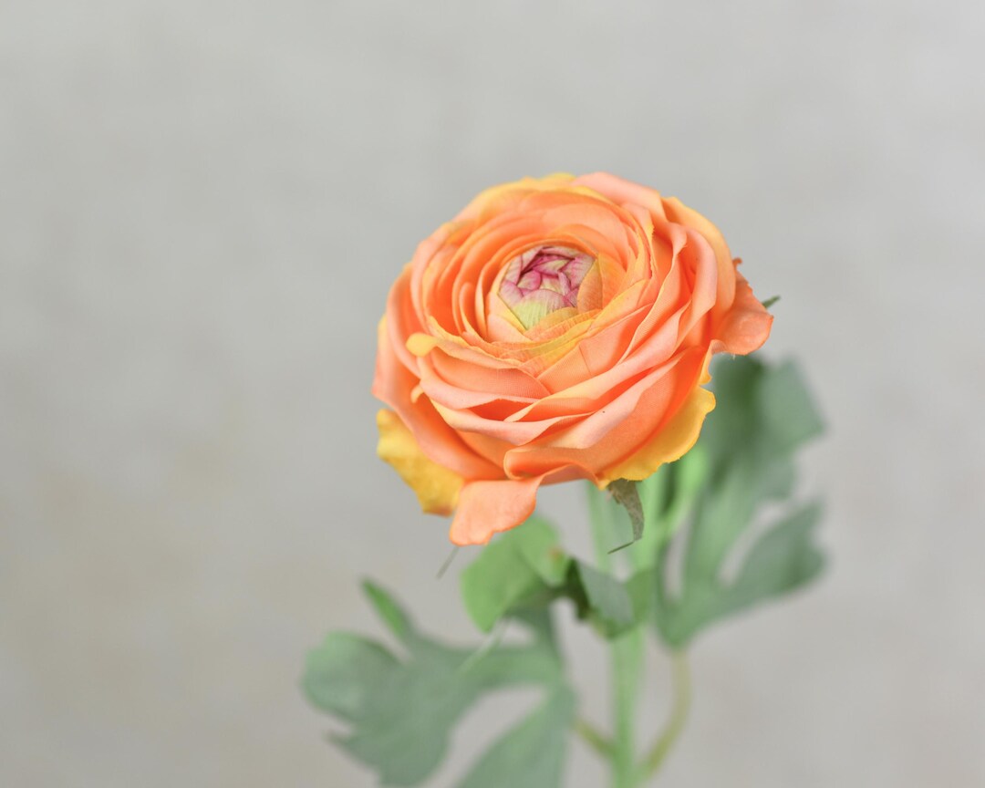 Faux Real Touch Orange Ranunculus Flower Stem - High Quality Artificial ...