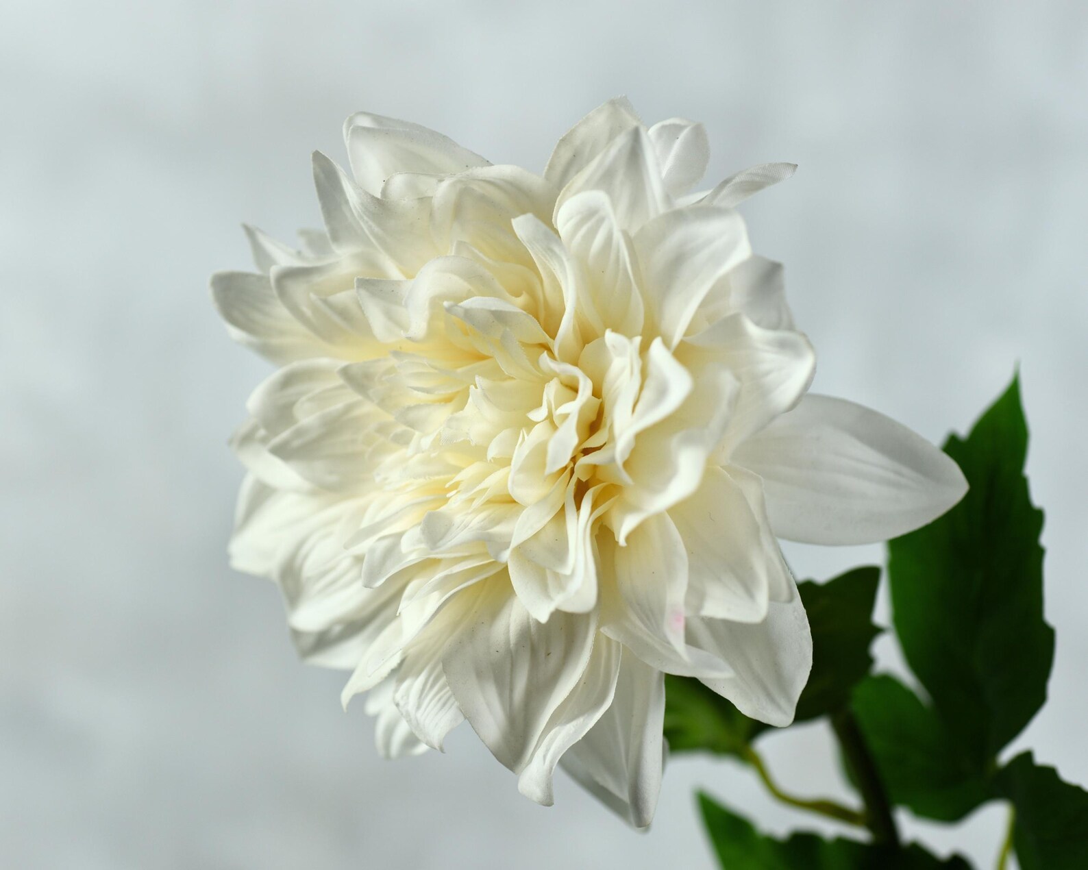 Real Touch White Dahlia Flower Stem - High Quality Faux Floral ...