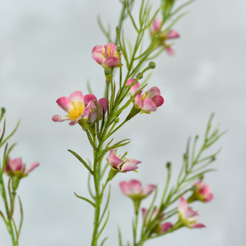 Small Wax Flower Bouquet - Etsy
