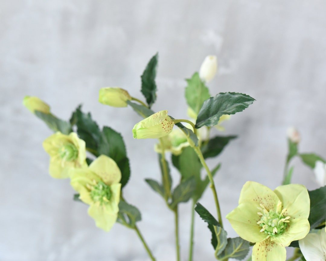 Faux Light Green Helleborus Stem - High Quality Artificial Flower / DIY ...