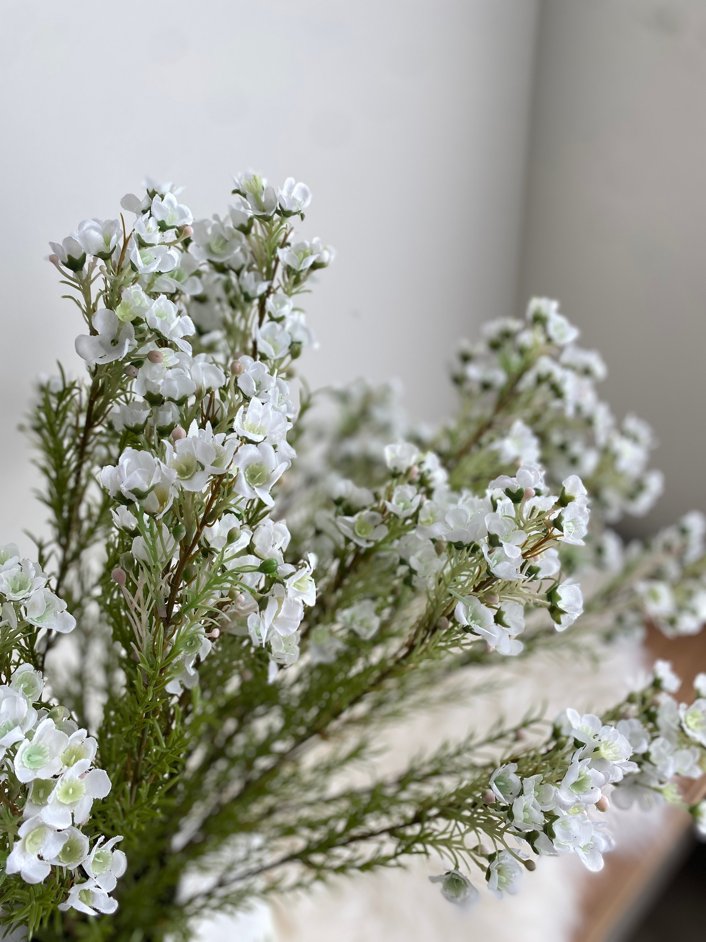 White Wax Flowers Wax Flower Spray Cream Village Green