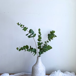Real Touch Eucalyptus Stem - High Quality Artificial Greenery / Leaf ...