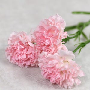 Set of 3 - Real Touch Pink Carnation Stem / Artificial Floral / Wedding ...