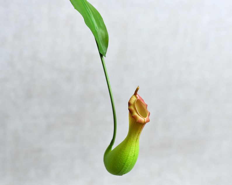 Artificial Green Nepenthes Pitcher Plant - Realistic Faux Plant for ...