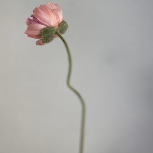 Silk Poppy Floral Stem High Quality Artificial Flower / Wedding / DIY ...