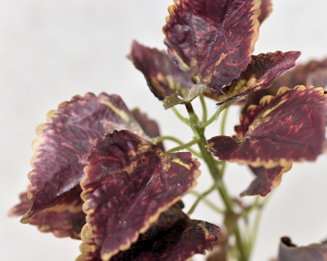Real Touch Shiso Japanese Perilla Leaf - Artificial Plant / Wedding ...
