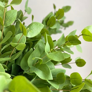 Real Touch Eucalyptus Stem - High Quality Artificial Greenery / Leaf ...