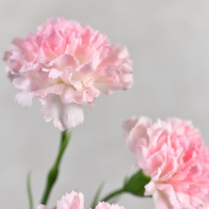 Set of 3 - Real Touch Pink Carnation Stem / Artificial Floral / Wedding ...