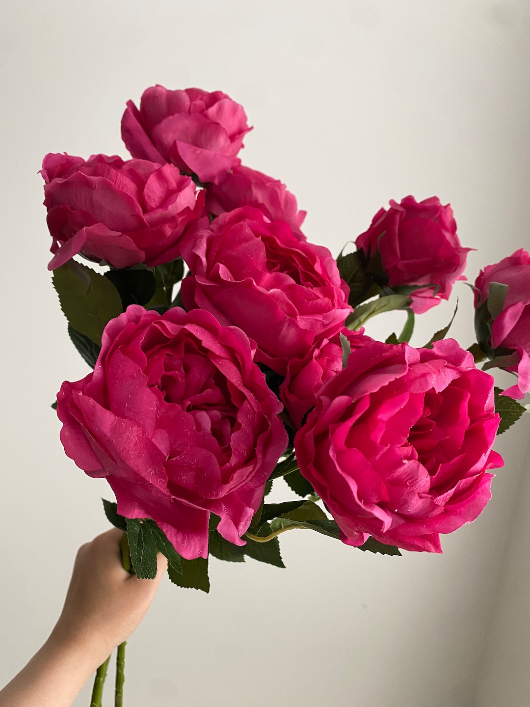 Real Touch English Rose Stem / David Austin Rose / High Quality ...