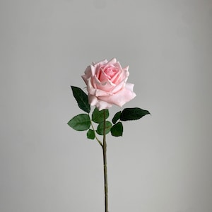 Artificial Real Touch Rose Stem - Faux Flower / DIY Floral / Wedding ...