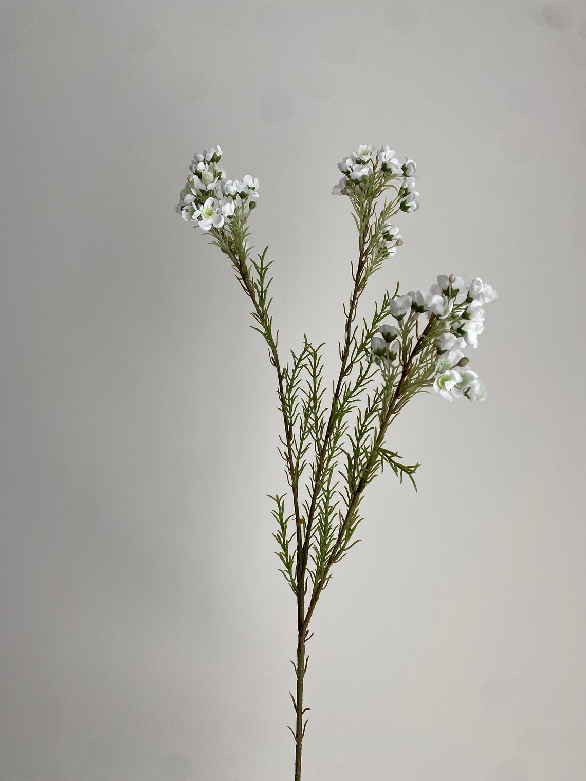 Artificial Wax Flower Spray - Faux Flower Stem / DIY / Floral / Fillers ...