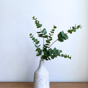 Real Touch Eucalyptus Stem - High Quality Artificial Greenery / Leaf ...