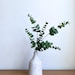 Real Touch Eucalyptus Stem - High Quality Artificial Greenery / Leaf ...
